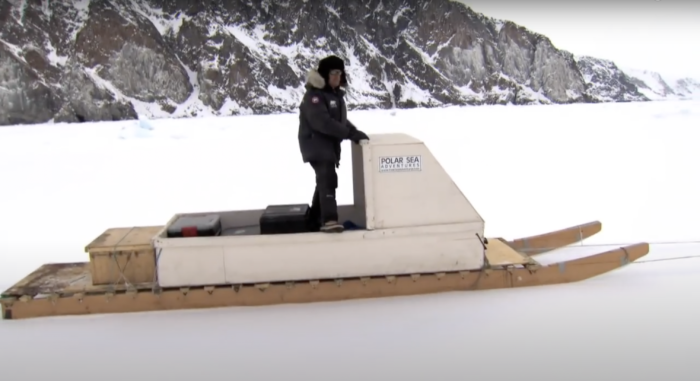 Mark Coreth | The Ice Bear Project - Sladmore Gallery