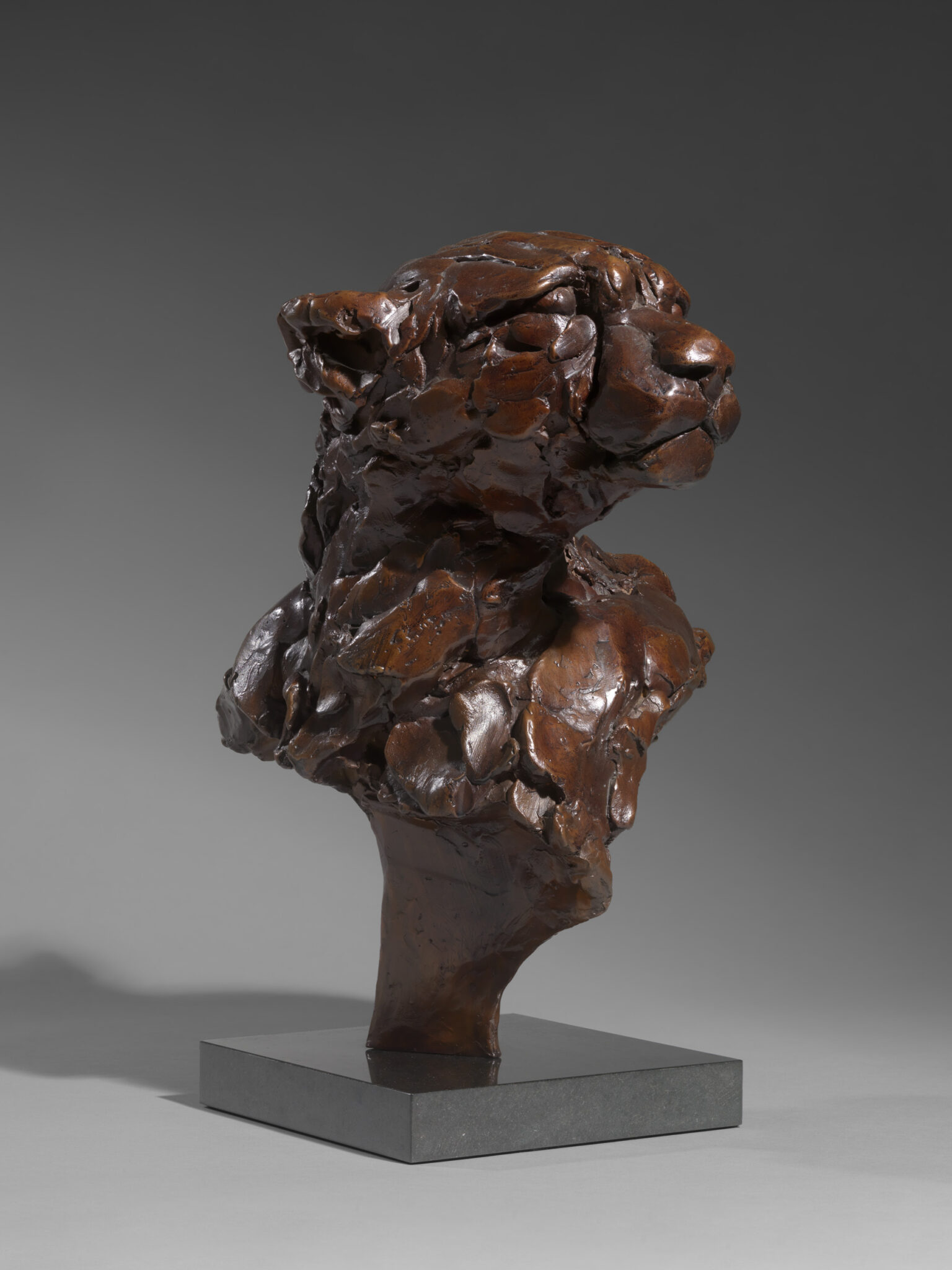 Mark Coreth : Sladmore Gallery