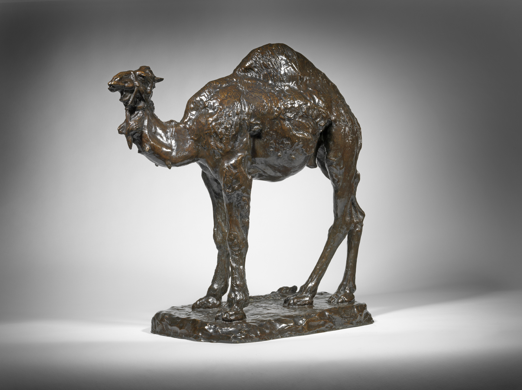Albéric Collin : Sladmore Gallery